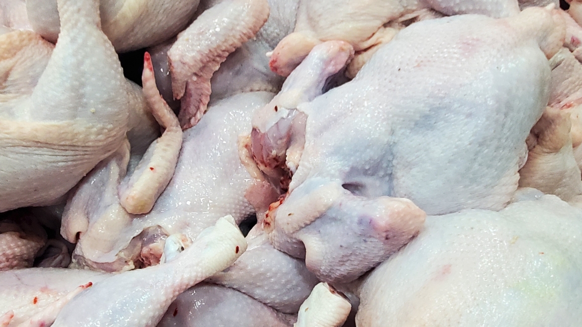 Classic Chicken – GS Agriculture